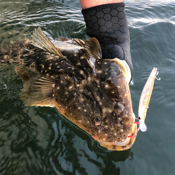 Our Best Flathead Lure - Fergo's Tackle World