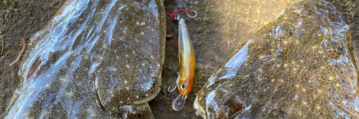 Best Flathead Fishing Gear - Fergo's Tackle World